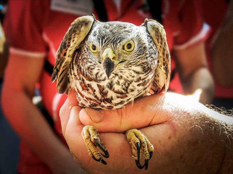 Bird and nature week - Indian Ocean Experiences